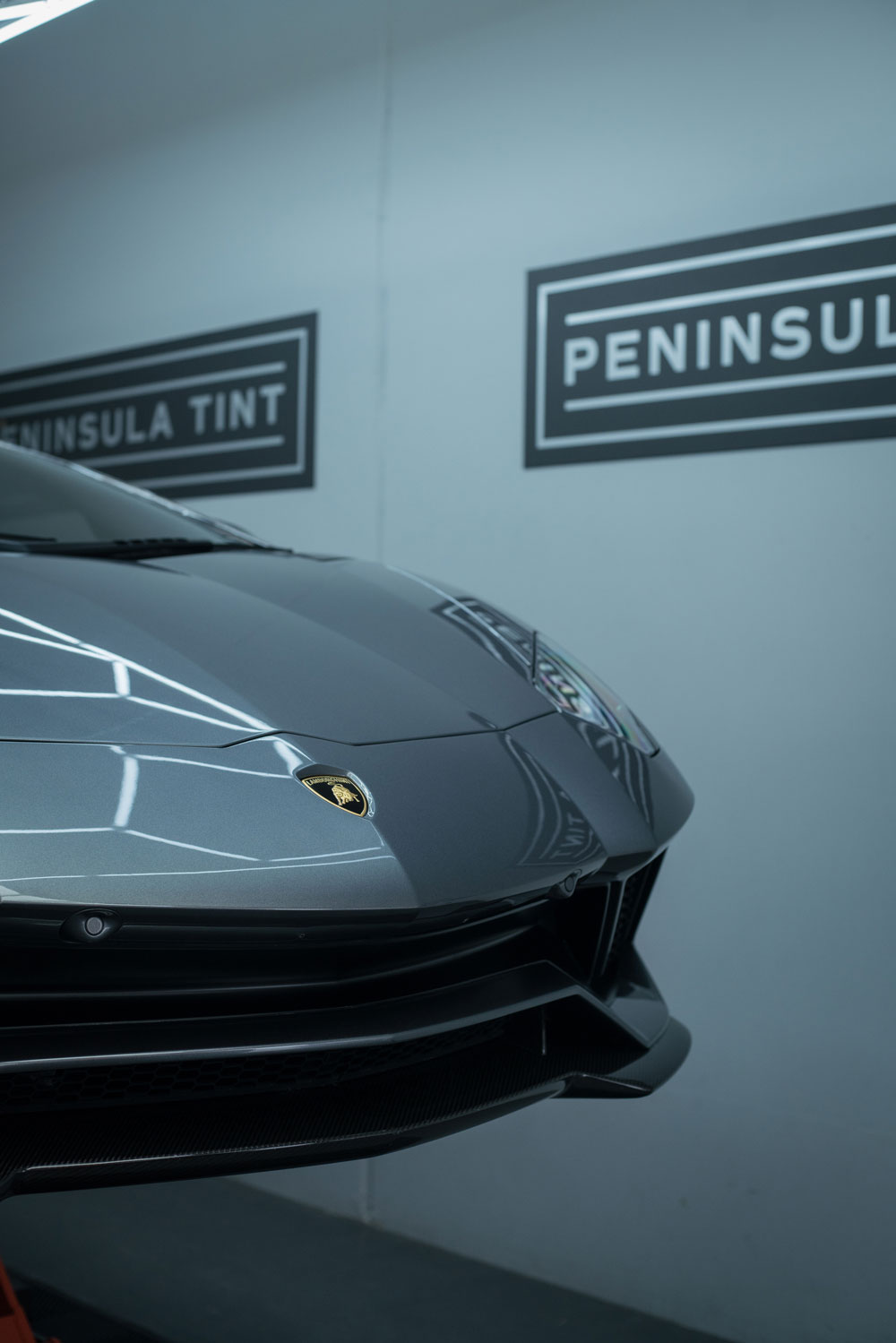 Lamborghini Aventador S Roadster Paint Protection: Complexity And ...